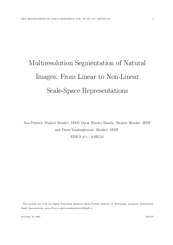 (PDF) Multiresolution segmentation of natural images: from linear to ...