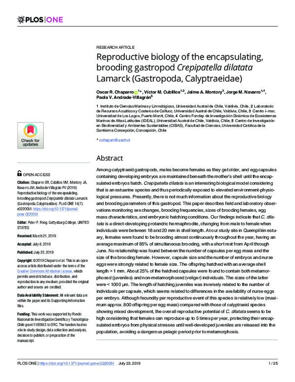 (PDF) Reproductive biology of the encapsulating, brooding gastropod ...