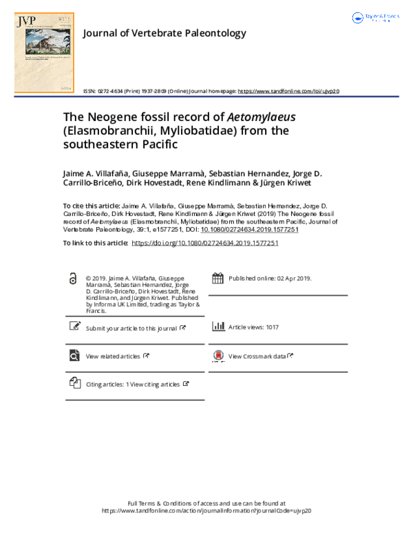 (PDF) Neogene Aetomylaeus Fossils from Pacific Coast