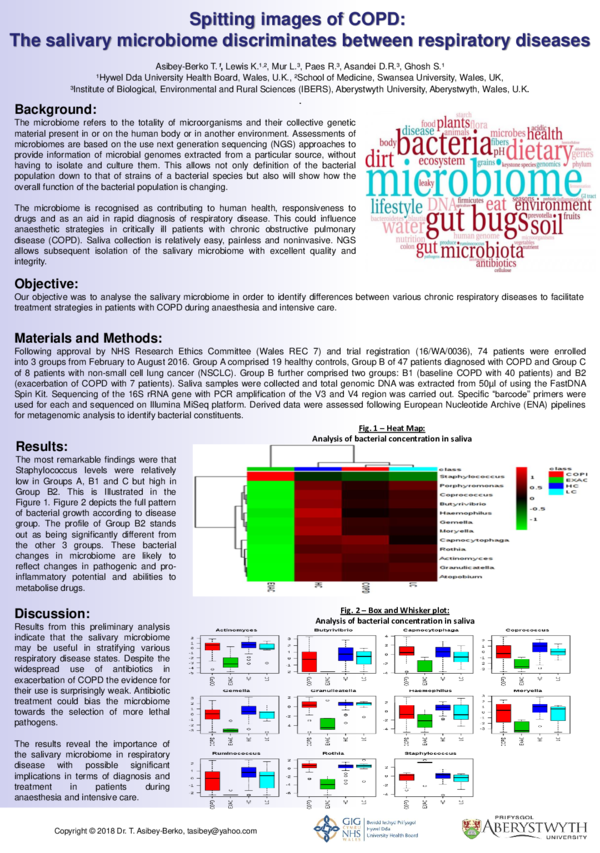 (PDF) 03 / Spitting images of COPD: The salivary microbiome ...