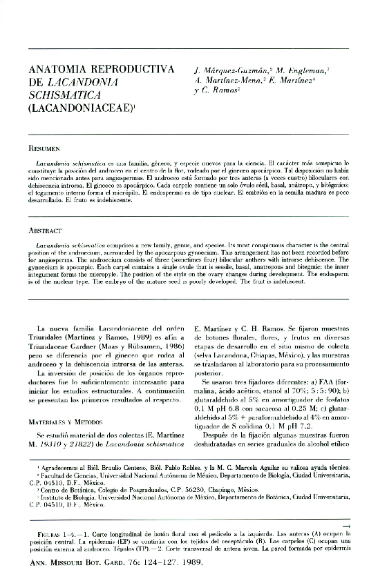 (PDF) Anatomia Reproductiva de Lacandonia schismatica (Lacandoniaceae)