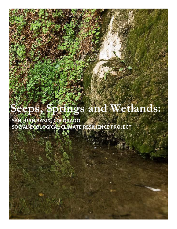 (PDF) Seeps, springs and wetlands: San Juan Basin, Colorado. Social ...