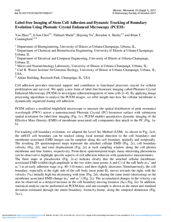 (PDF) Label-free Imaging of Stem Cell Adhesion and Dynamic Tracking of ...