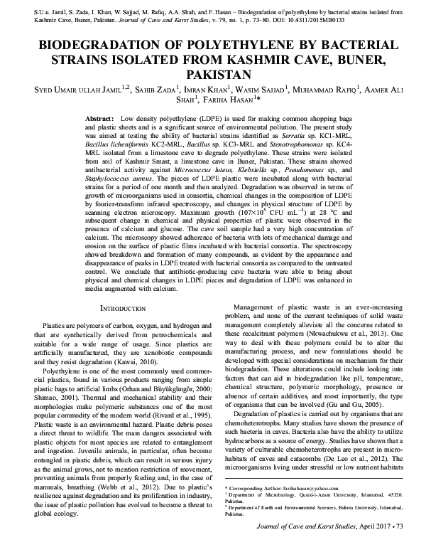 (PDF) Biodegradation of polyethylene by bacterial strains isolated from Kashmir Cave, Buner ...
