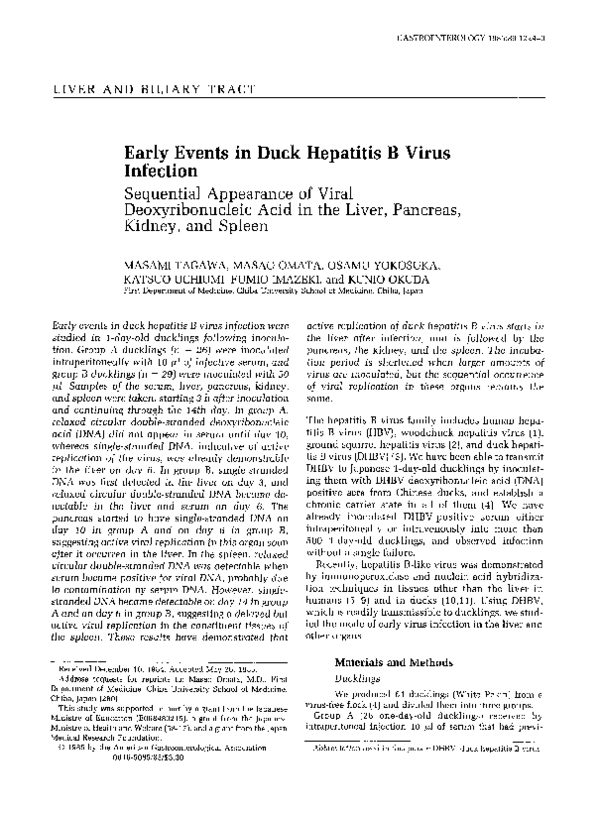 (PDF) Early events in duck hepatitis B virus infection. Sequential ...