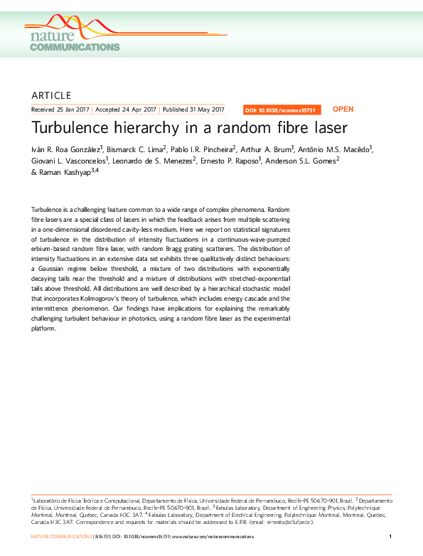 (PDF) Turbulence hierarchy in a random fibre laser