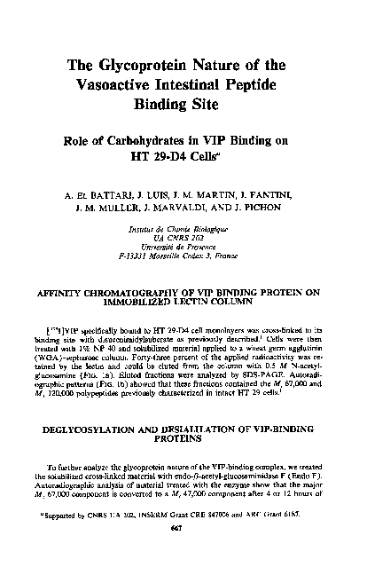 (PDF) The Glycoprotein Nature of the Vasoactive Intestinal Peptide ...