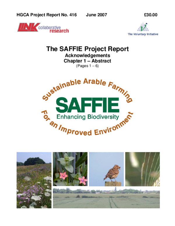 (PDF) The SAFFIE project report