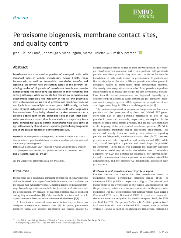 (PDF) Peroxisome biogenesis, membrane contact sites, and quality control