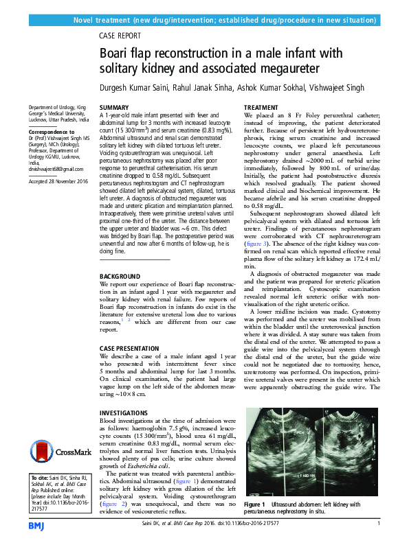 (PDF) Boari flap reconstruction in a male infant with solitary kidney ...