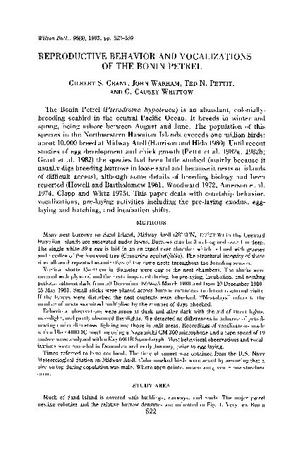 (PDF) Reproductive behavior and vocalizations of the Bonin petrel