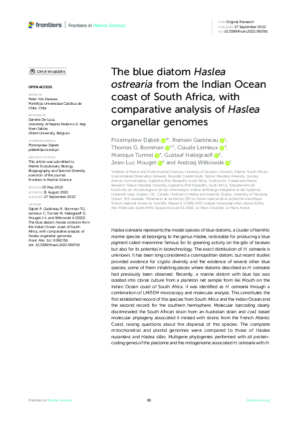 (PDF) The blue diatom Haslea ostrearia from the Indian Ocean coast of ...