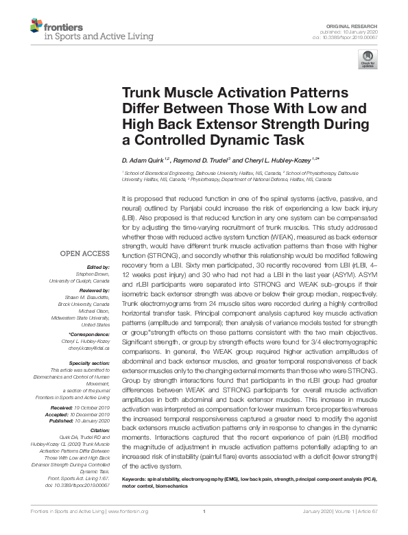 (PDF) Trunk Muscle Activation Patterns Differ Between Those With Low ...