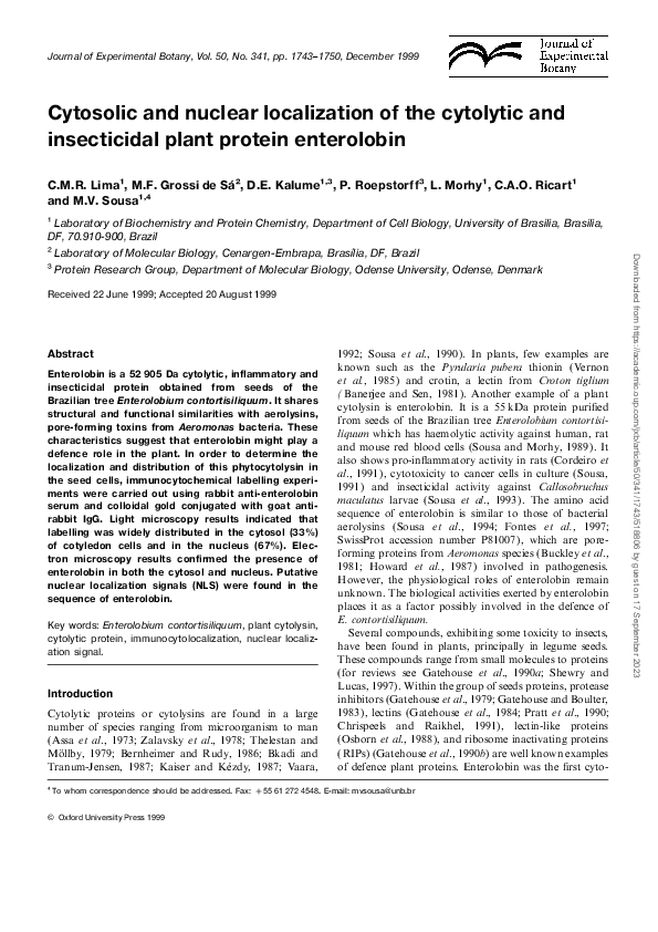 (PDF) Cytosolic and nuclear localization of the cytolytic and ...