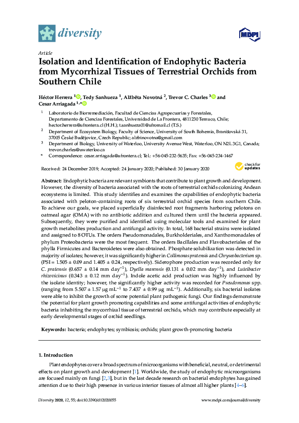 (PDF) Isolation and Identification of Endophytic Bacteria from Mycorrhizal Tissues of ...