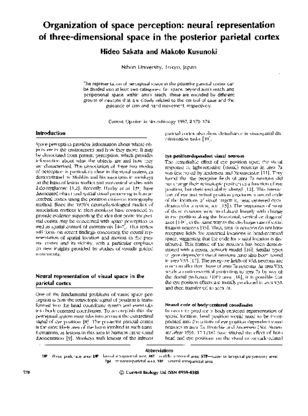 (PDF) Neural Encoding of Perceptual Space in Posterior Parietal Cortex