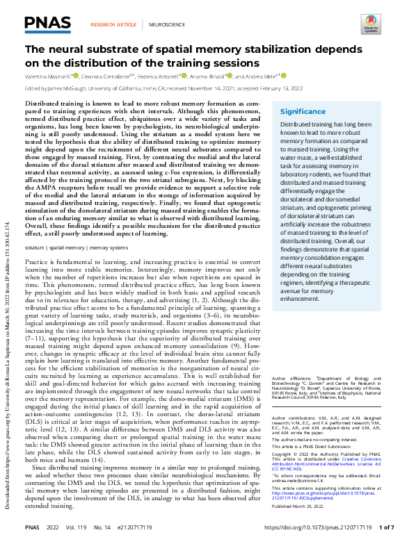 (PDF) The neural substrate of spatial memory stabilization depends on ...