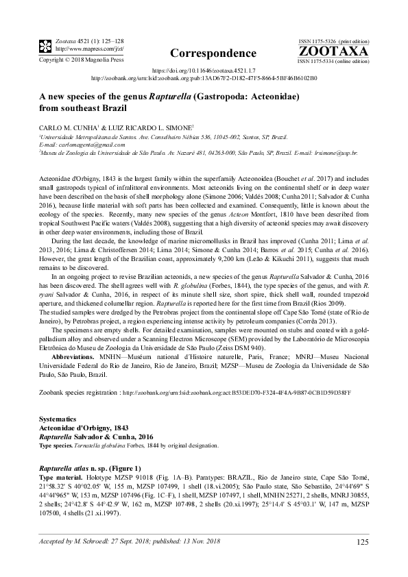 (PDF) A new species of the genus Rapturella (Gastropoda: Acteonidae ...