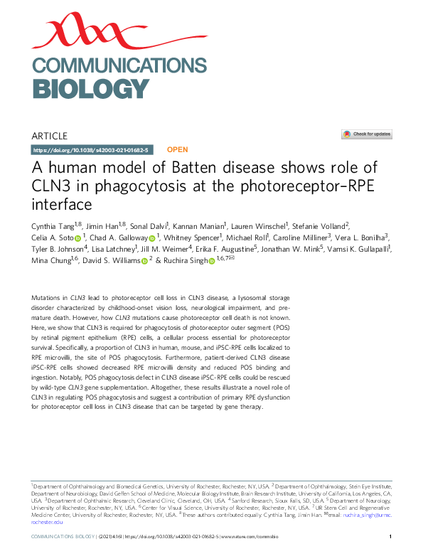 (PDF) A human model of Batten disease shows role of CLN3 in ...