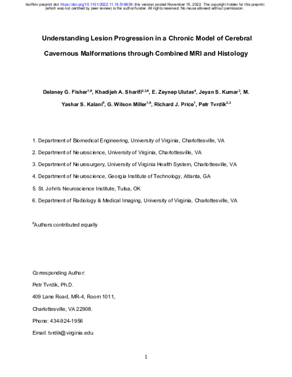 (PDF) Understanding Lesion Progression in a Chronic Model of Cerebral ...
