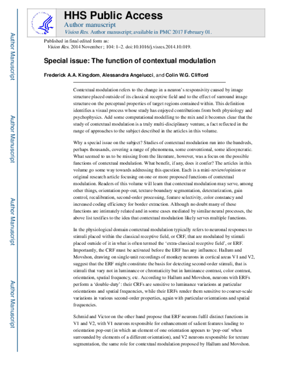 Pdf Special Issue The Function Of Contextual Modulation