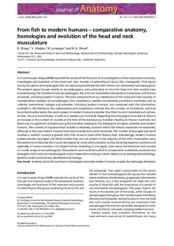 (PDF) From fish to modern humans - comparative anatomy, homologies and ...