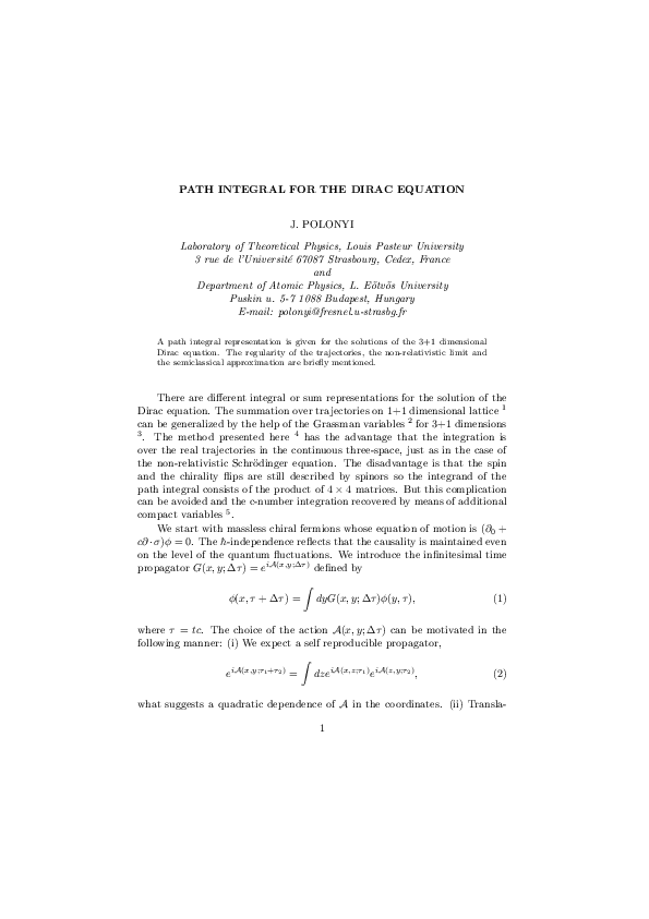 Pdf Path Integral For The Dirac Equation