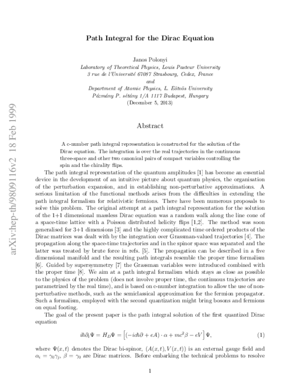 (PDF) Phase Space Path Integral for the Dirac Equation