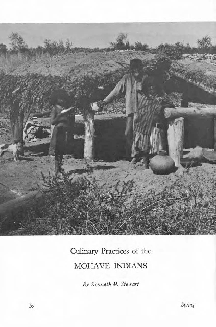 (PDF) Culinary practices of the Mohave Indians / Kenneth M. Stewart. El ...
