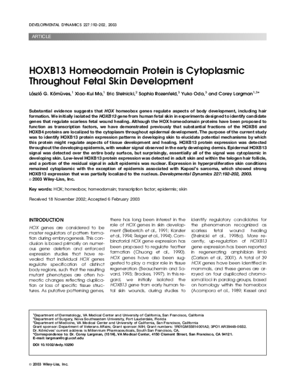 (PDF) HOXB13 homeodomain protein is cytoplasmic throughout fetal skin ...