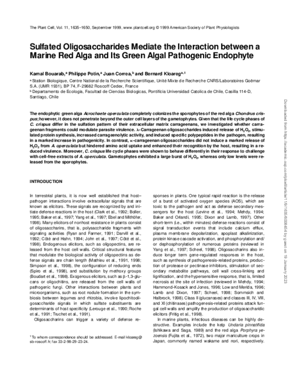(PDF) Sulfated Oligosaccharides Mediate the Interaction between a ...