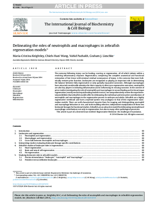 (PDF) Delineating the roles of neutrophils and macrophages in zebrafish ...