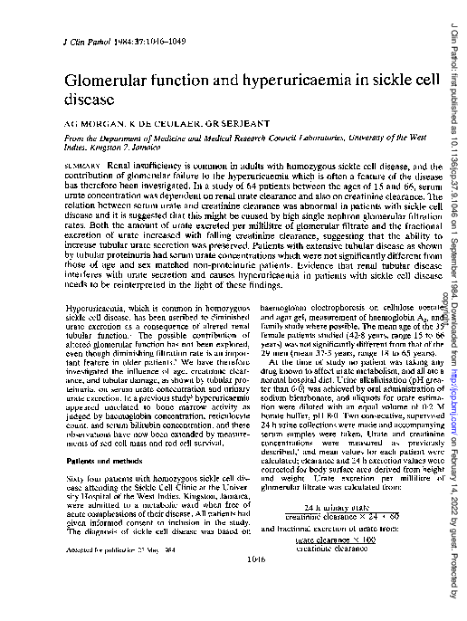 (PDF) Glomerular function and hyperuricaemia in sickle cell disease | Karel De Ceulaer ...