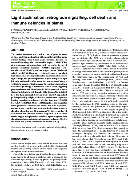 (PDF) Light acclimation, retrograde signalling, cell death and immune ...