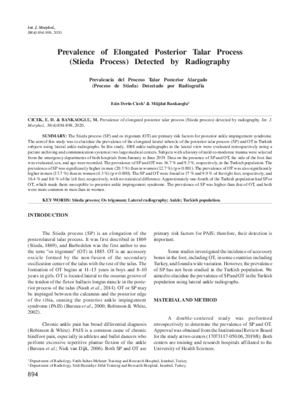 (PDF) Prevalence of Elongated Posterior Talar Process (Stieda Process ...