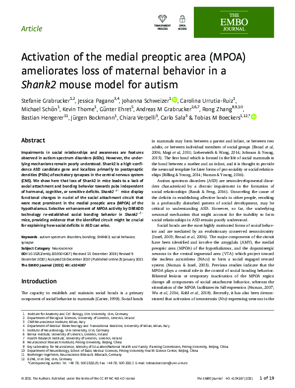 (PDF) Activation of the medial preoptic area (MPOA) ameliorates loss of ...