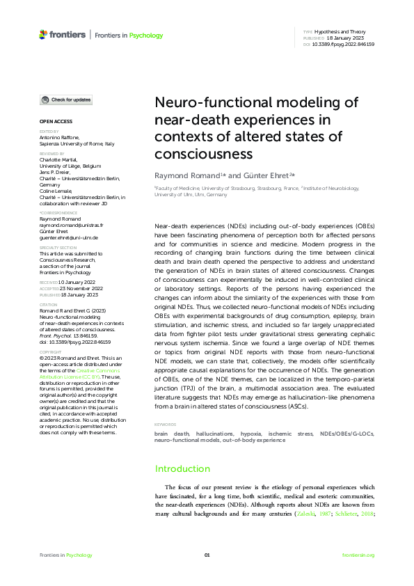 (PDF) Neuro-functional modeling of near-death experiences in contexts ...