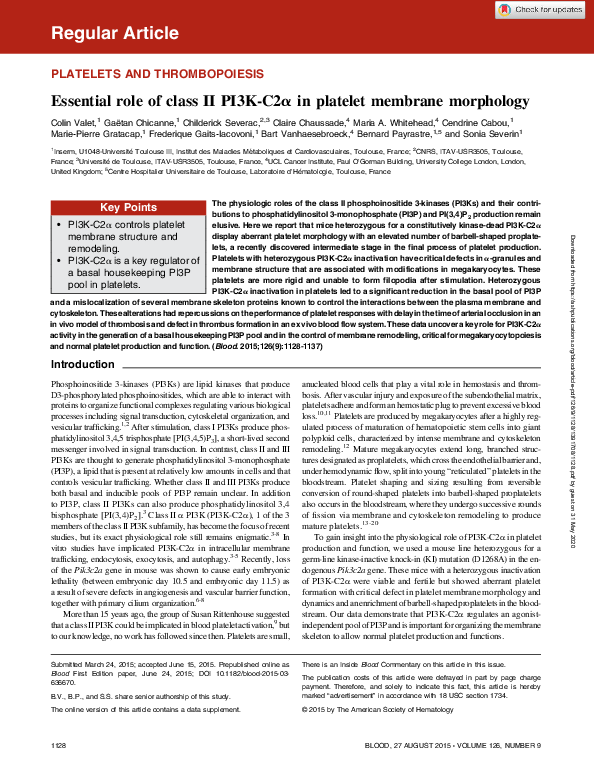 (PDF) Essential role of class II PI3K-C2α in platelet membrane morphology