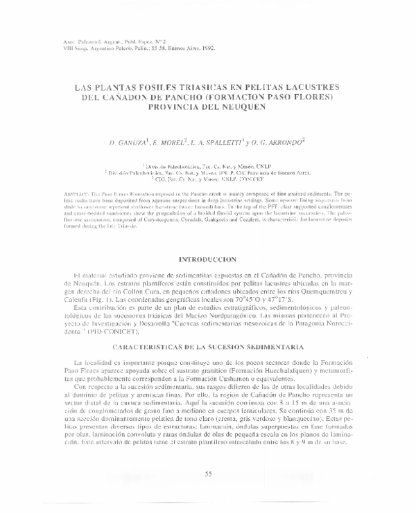 (PDF) Las plantas fósiles triásicas en Pelitas Lacustres del Cañadón de ...