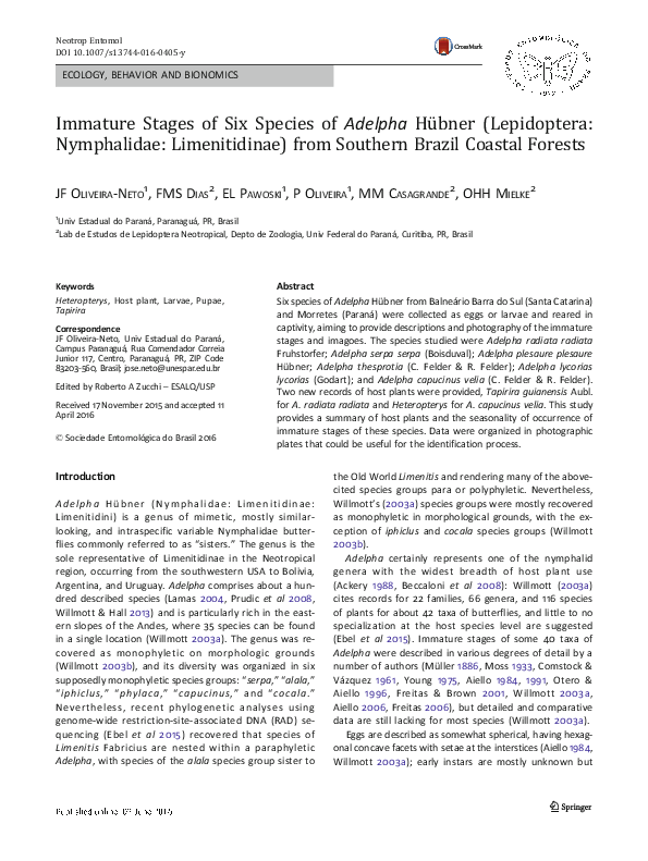 (PDF) Immature Stages of Six Species of Adelpha Hübner (Lepidoptera: Nymphalidae: Limenitidinae ...