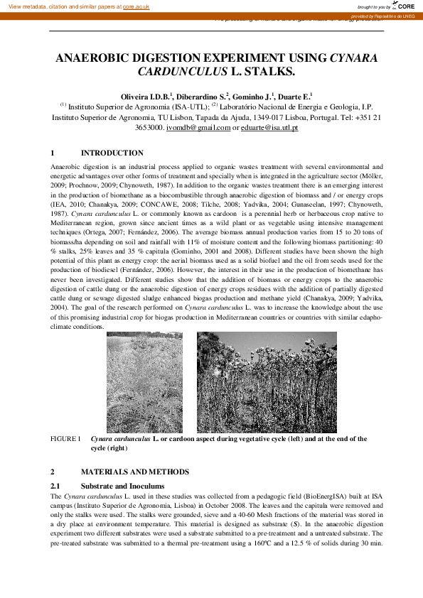 (PDF) Anaerobic digestion experiment using Cynara cardunculus L. stalks