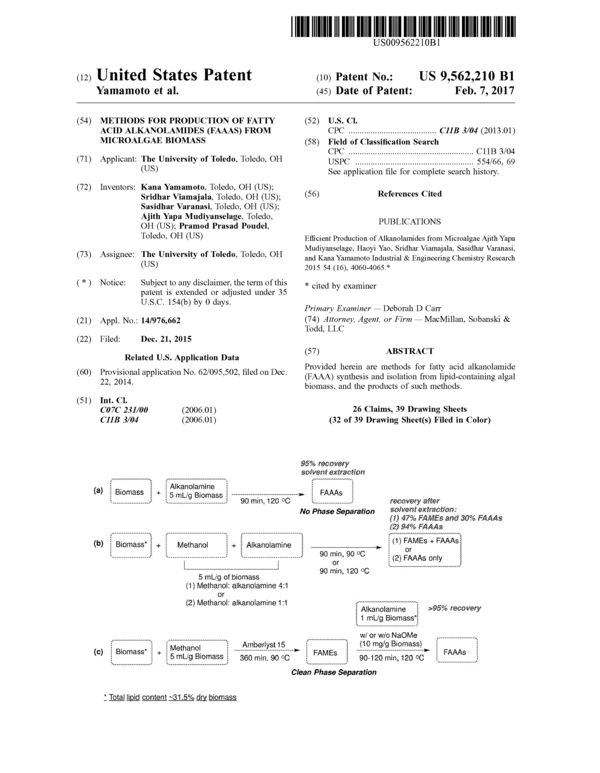 (PDF) Methods for production of fatty acid alkanolamides (FAAAs) from ...