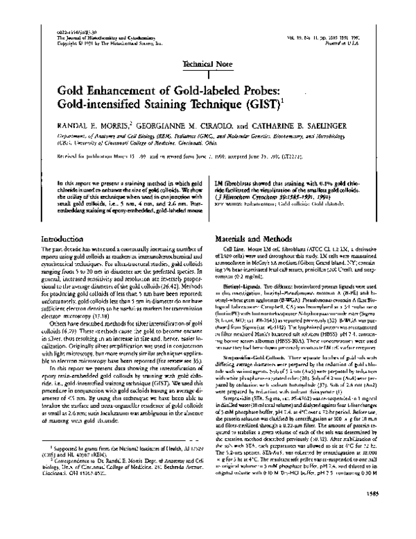 (PDF) Gold enhancement of gold-labeled probes: gold-intensified ...