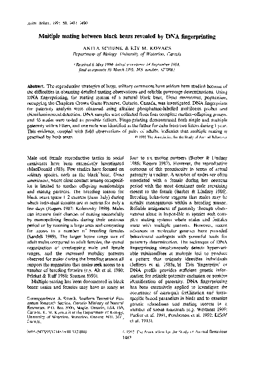 (PDF) Multiple mating between black bears revealed by DNA fingerprinting