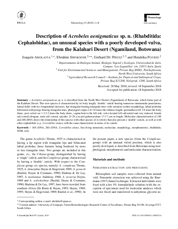 (PDF) Description of Acrobeles aenigmaticus sp. n. (Rhabditida ...