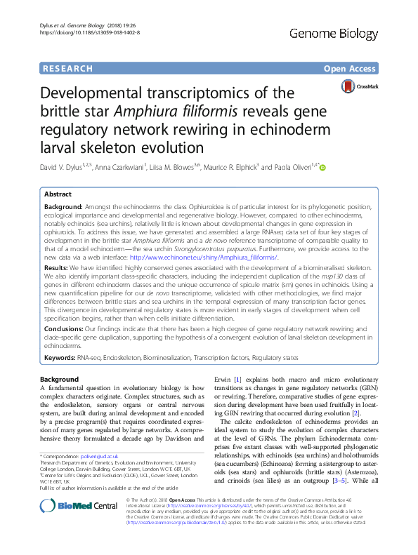 (PDF) Developmental transcriptomics of the brittle star Amphiura ...
