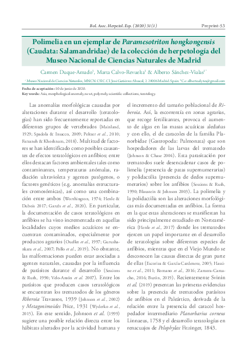 (PDF) Polimelia en un ejemplar de Paramesotriton hongkongensis (Caudata ...