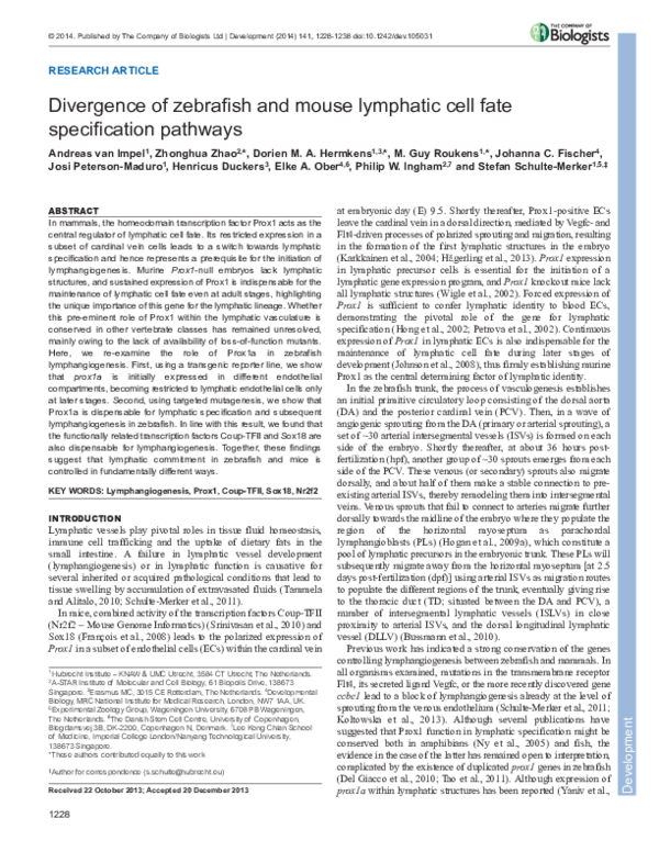 (PDF) Divergence of zebrafish and mouse lymphatic cell fate ...