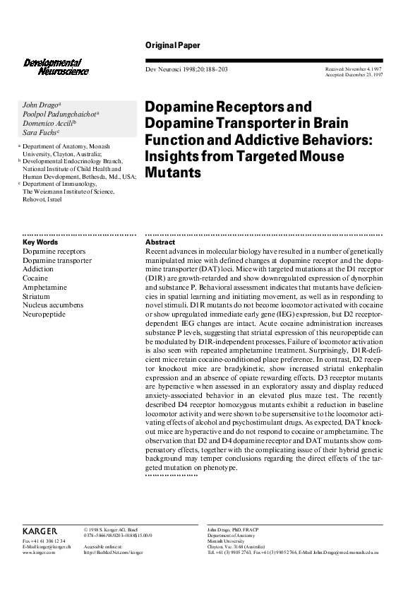 (PDF) Dopamine Receptors and Dopamine Transporter in Brain Function and ...