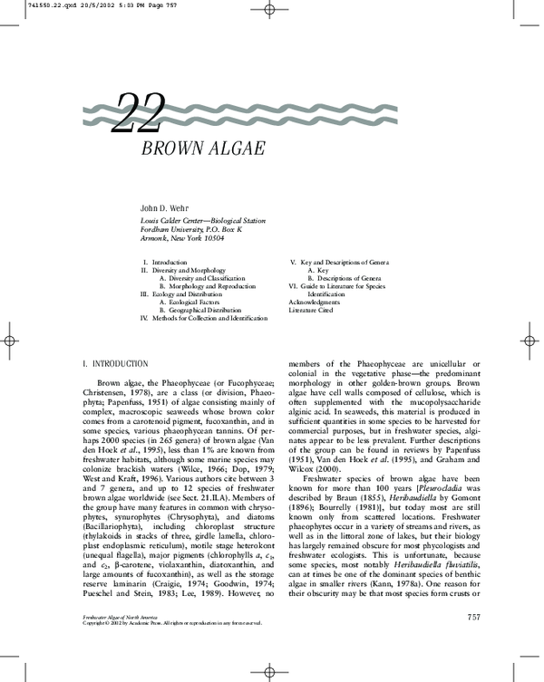 (PDF) Brown Algae